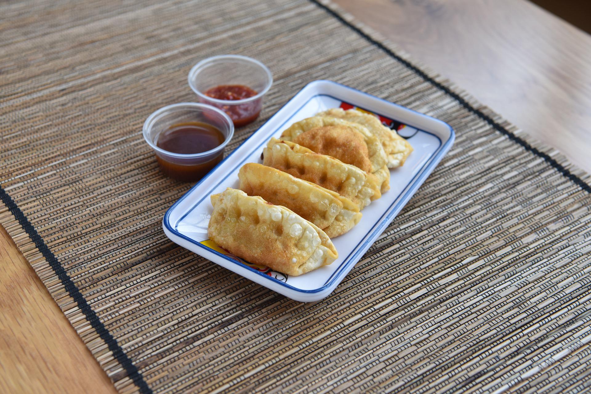 Gyoza – Kung Fu Food